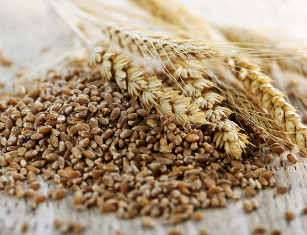 10 CEREALI MIGLIORI PER LA TUA DIETA - Azienda Agricola Le Barbarighe